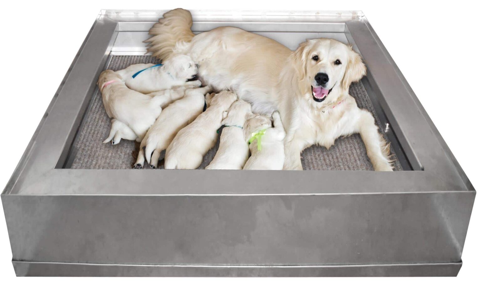 EZS Whelping Box - EZS Whelper